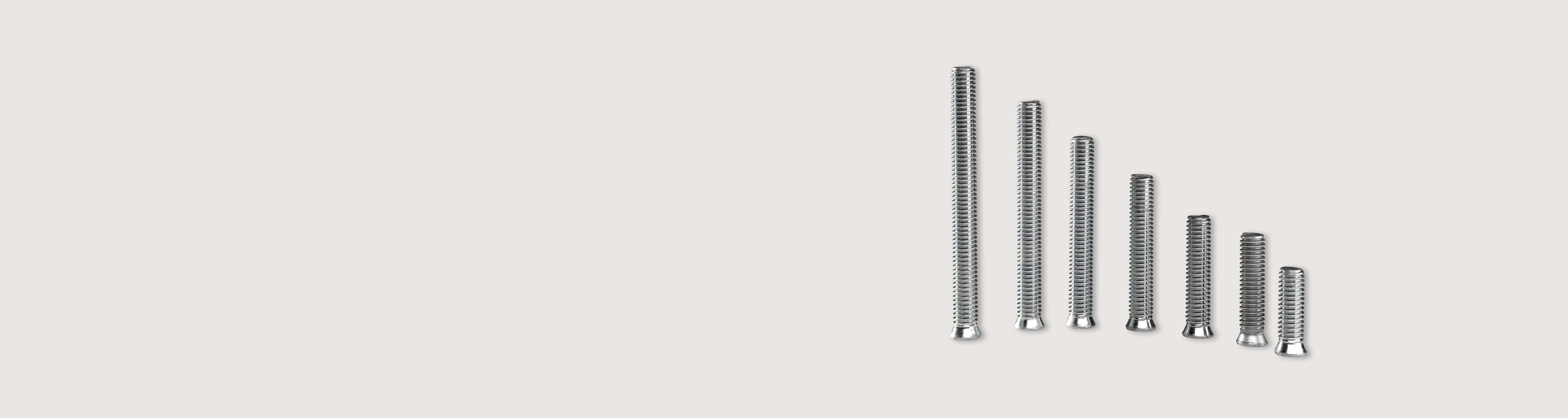 Weight Bolts – Cue & Case