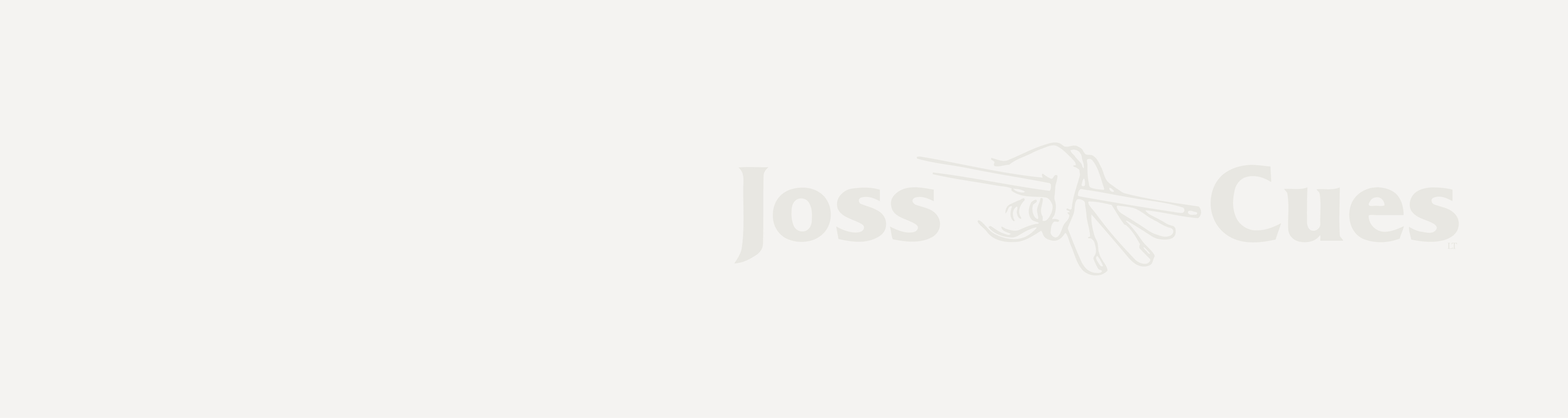Joss Cues – Cue & Case